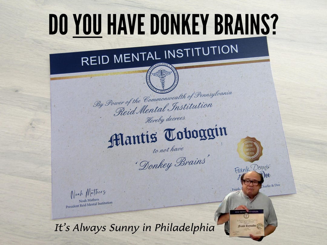 Donkey Brains Certificate From Always Sunny Personalised - Do You Have ...