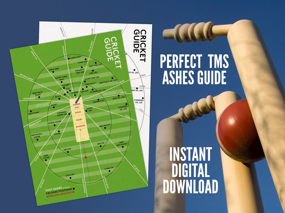 Cricket Infographic A4 Digital Download for Fielding Position Names ...