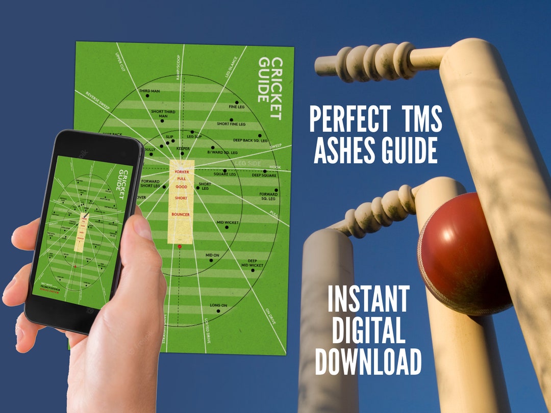 Cricket Infographic A4 Digital Download for Fielding Position - Etsy