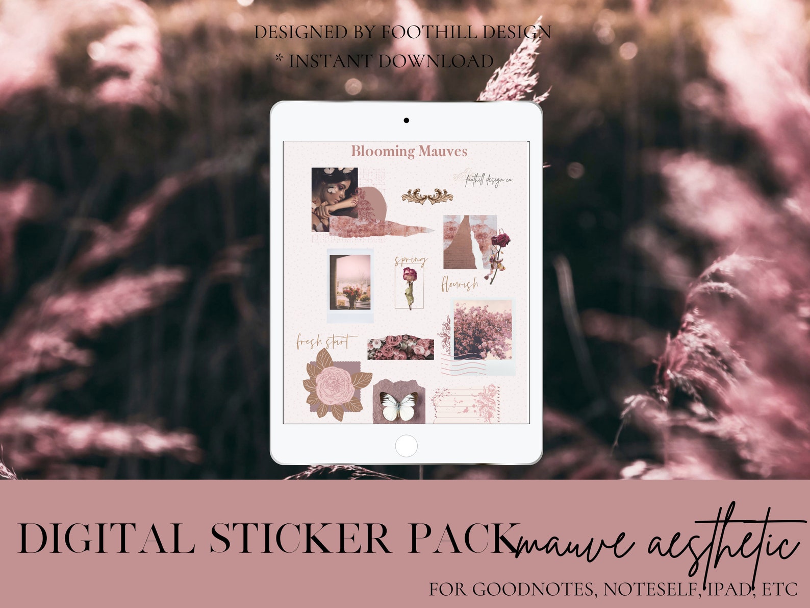 Stickers, SVG, SVG Bundle, Sticker Pack, Digital Stickers, Digital ...