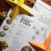 Matariki Activity Book - Crafts, Music, Games, Recipes, Posters ...