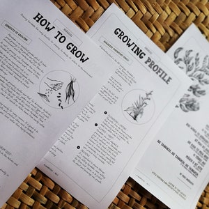 NZ Flax Weaving / Harakeke Weaving Book for Kids – Project Booklet ...