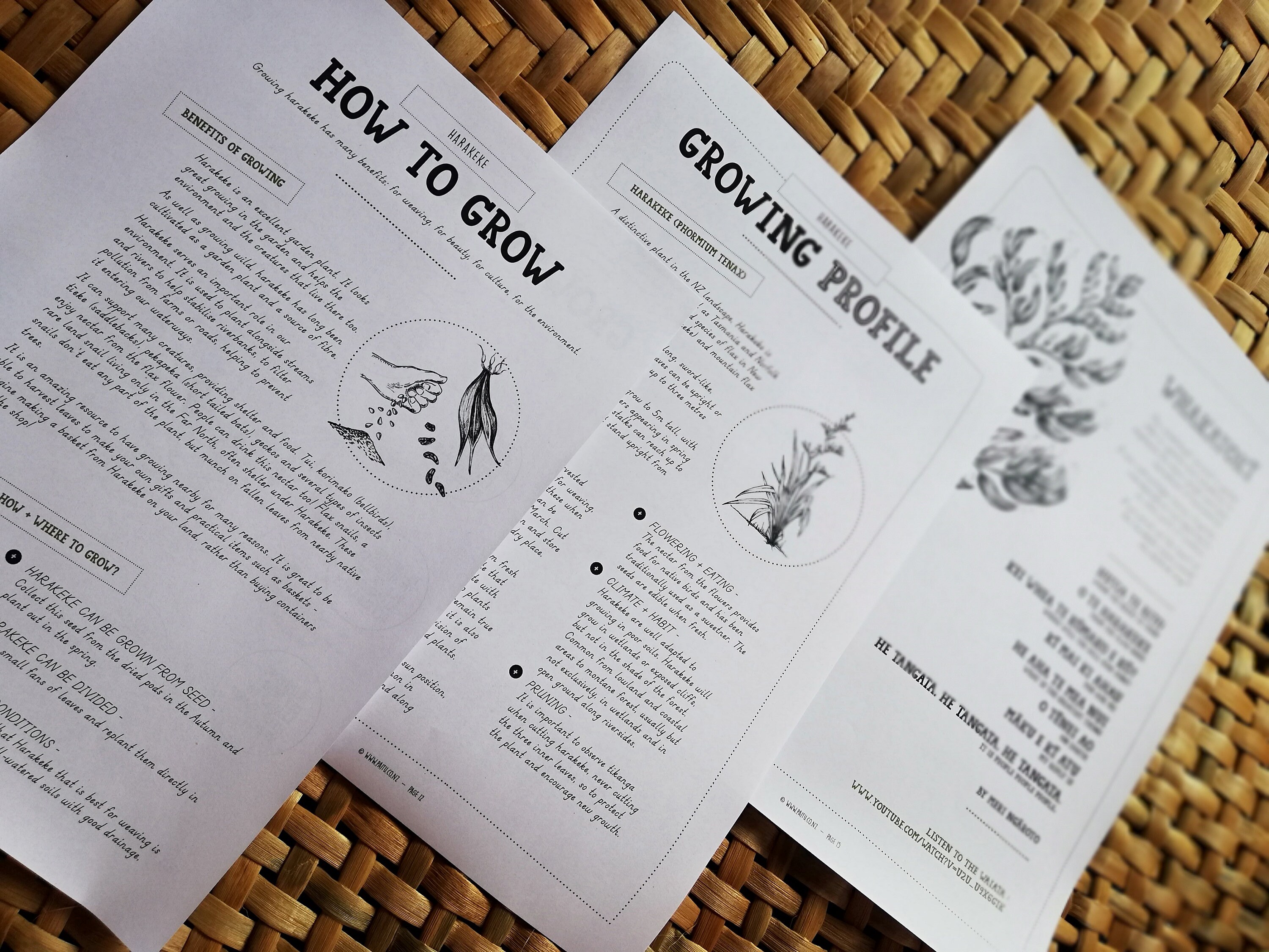 NZ Flax Weaving / Harakeke Weaving Book for Kids – Project Booklet ...