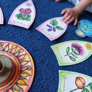 Montessori Birthday Celebration – SOUTHERN HEMISPHERE - Printable ...