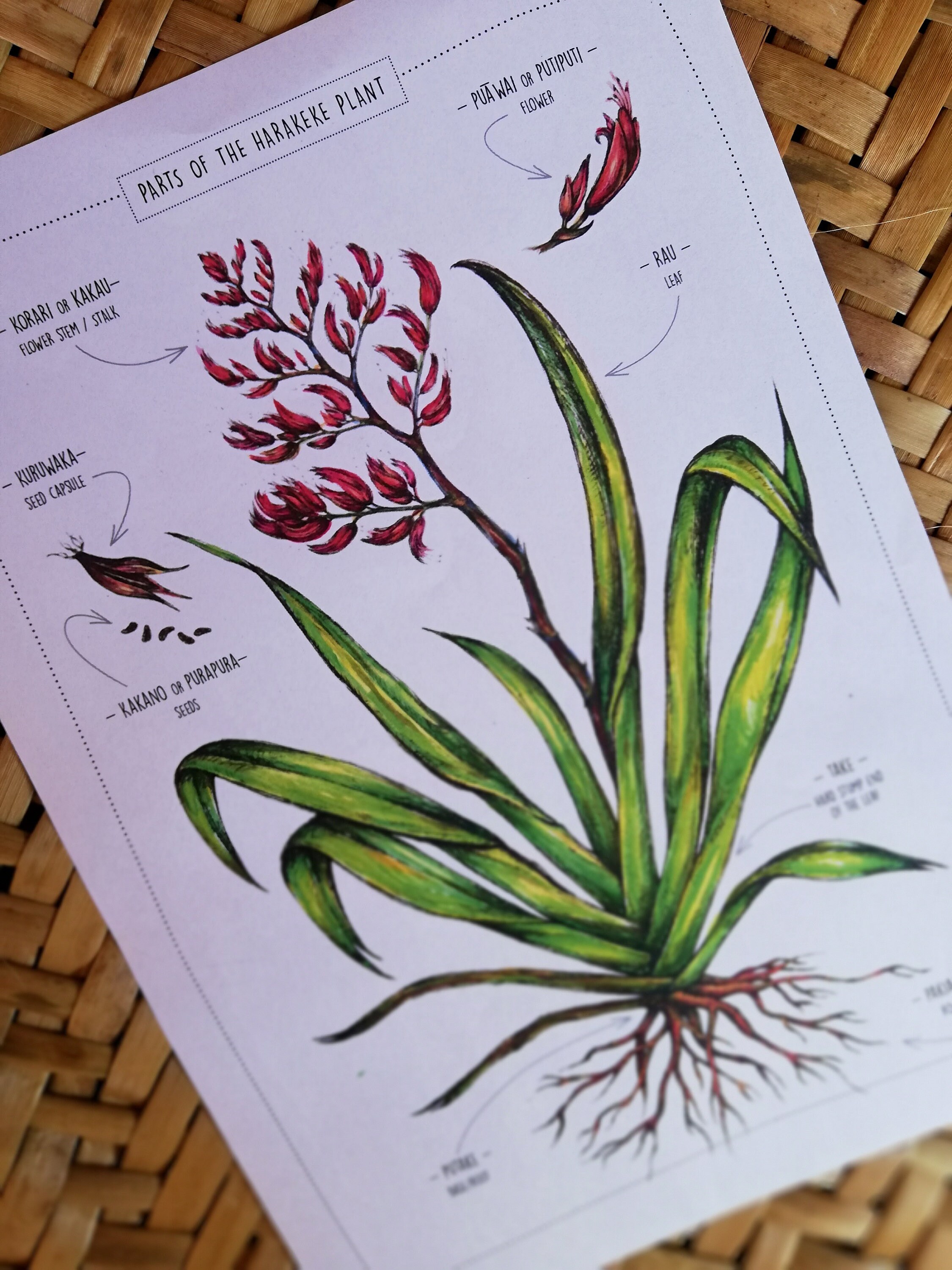 NZ Flax Weaving / Harakeke Weaving Book for Kids – Project Booklet ...