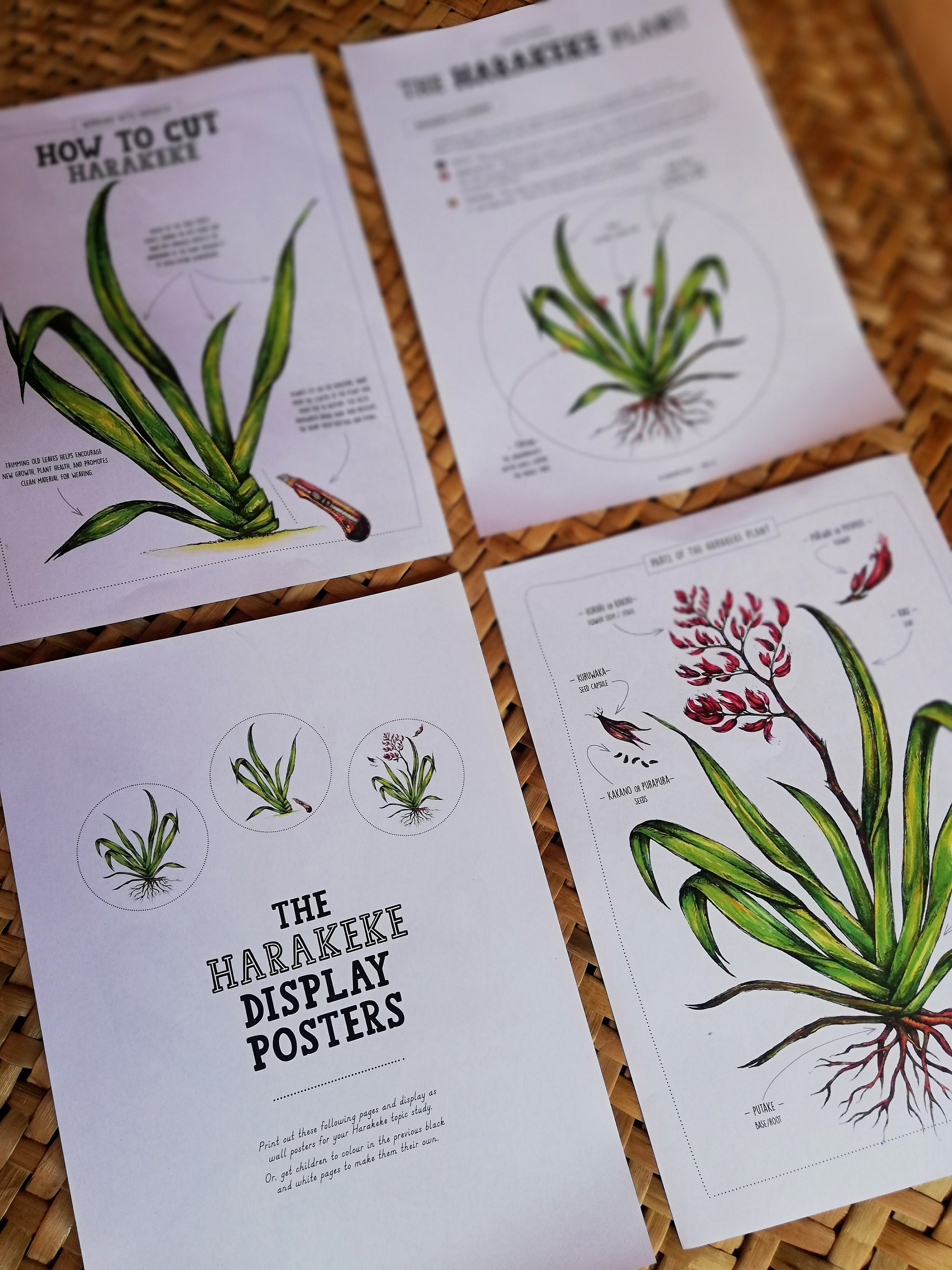 NZ Flax Weaving / Harakeke Weaving Book for Kids – Project Booklet ...