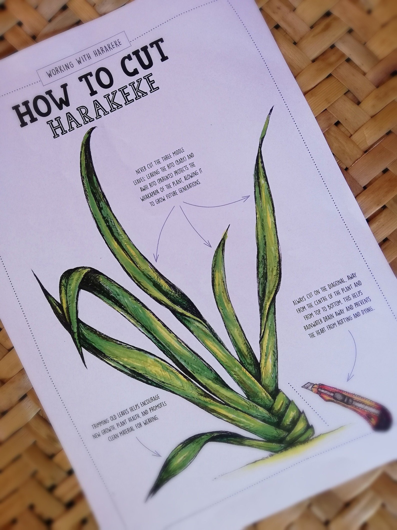 NZ Flax Weaving / Harakeke Weaving Book for Kids – Project Booklet ...