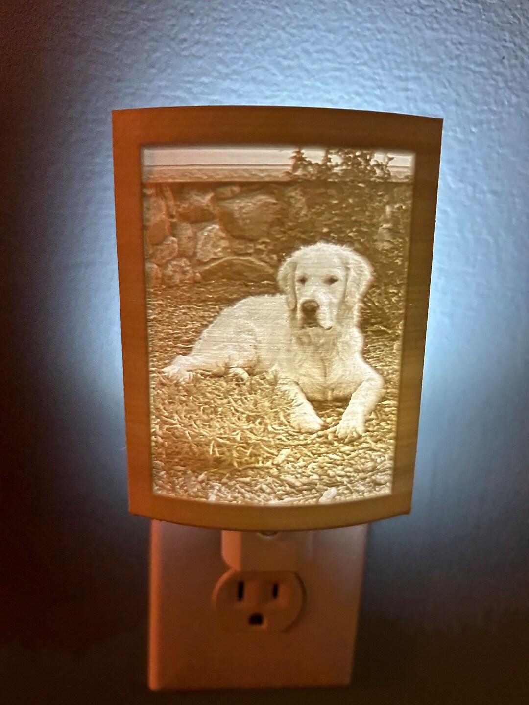 3D Printed Nightlights - Etsy