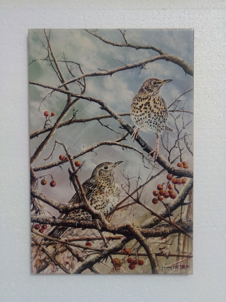 Hand-painted Ceramic Tile (glazed Tiles), 20x30 Cm (unframed) - "tordi ...