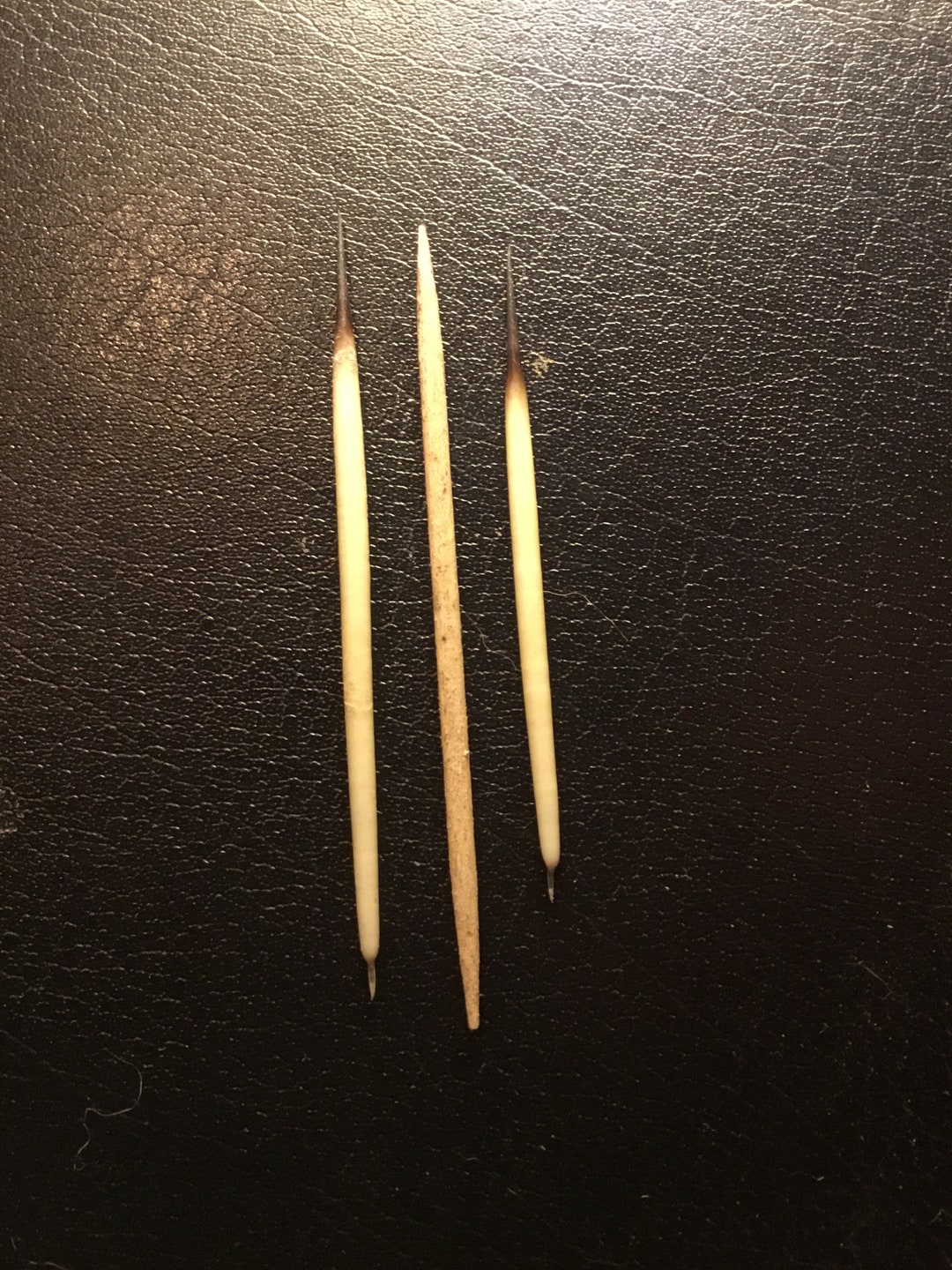 Thick Porcupine Quills toothpick in Center - Etsy