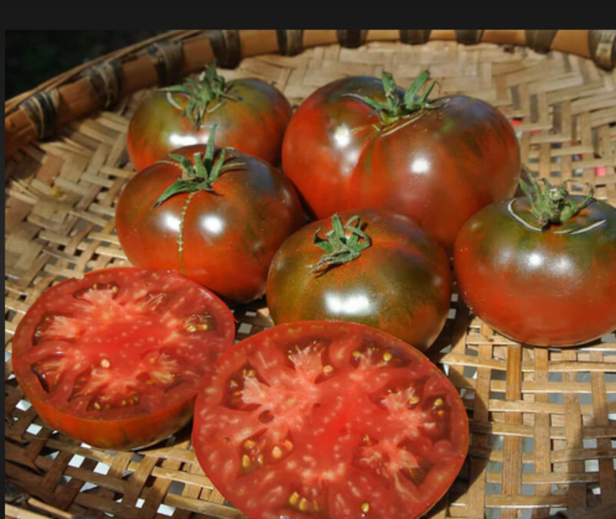 Paul Robeson Heirloom Tomato, 125 Seed Pack With Bonus Gift Packet - Etsy