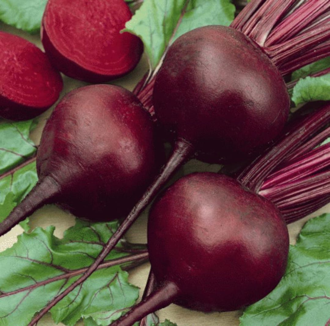 Beet Seed --detroit Dark Red , 5-gram Seed Packet About 350 Seeds - Etsy