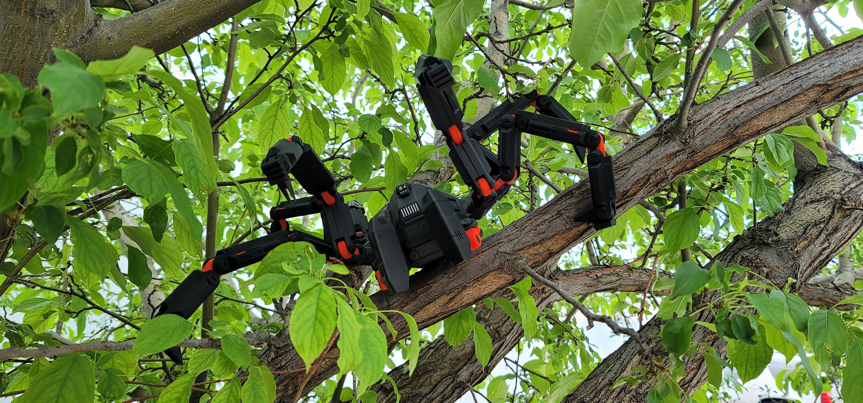 3D Printed Articulating Spider Mech. - Etsy