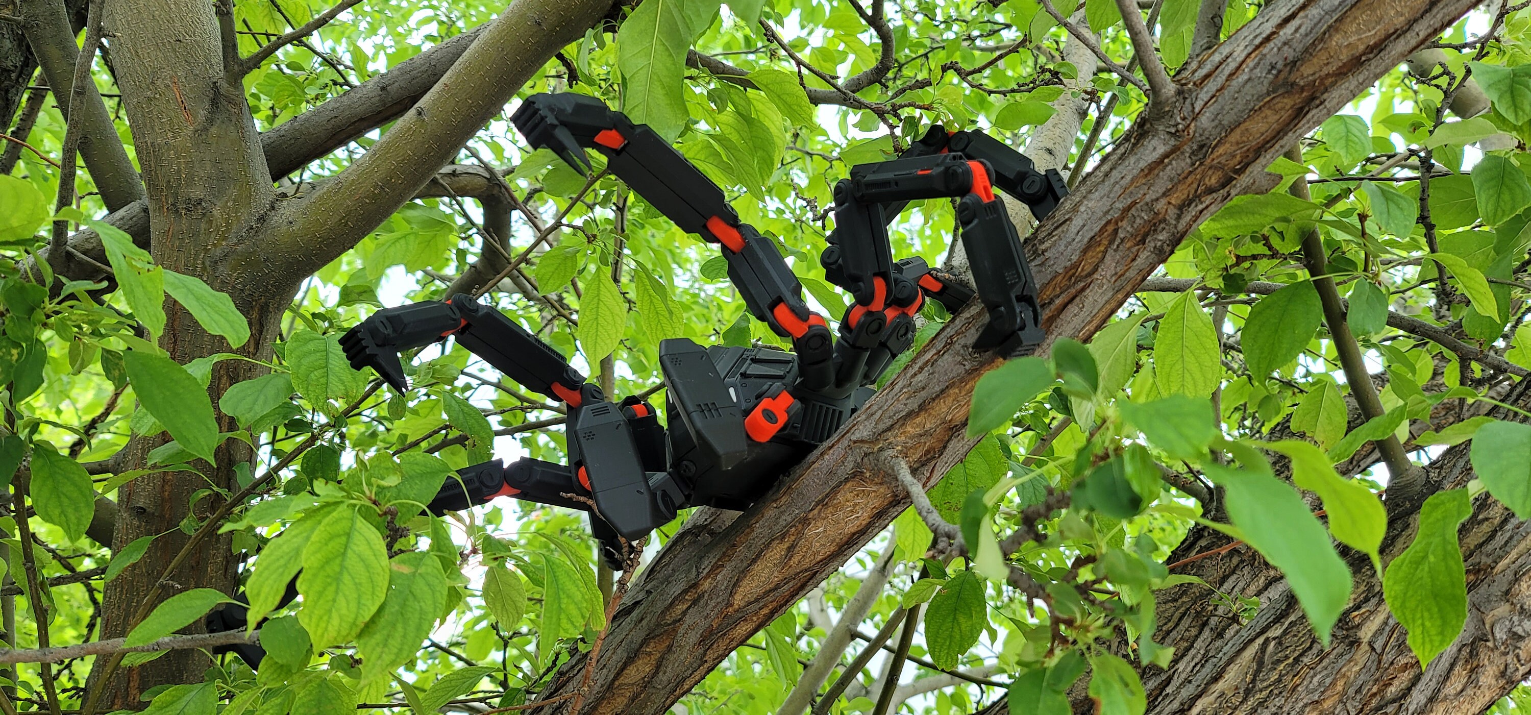 3D Printed Articulating Spider Mech. - Etsy