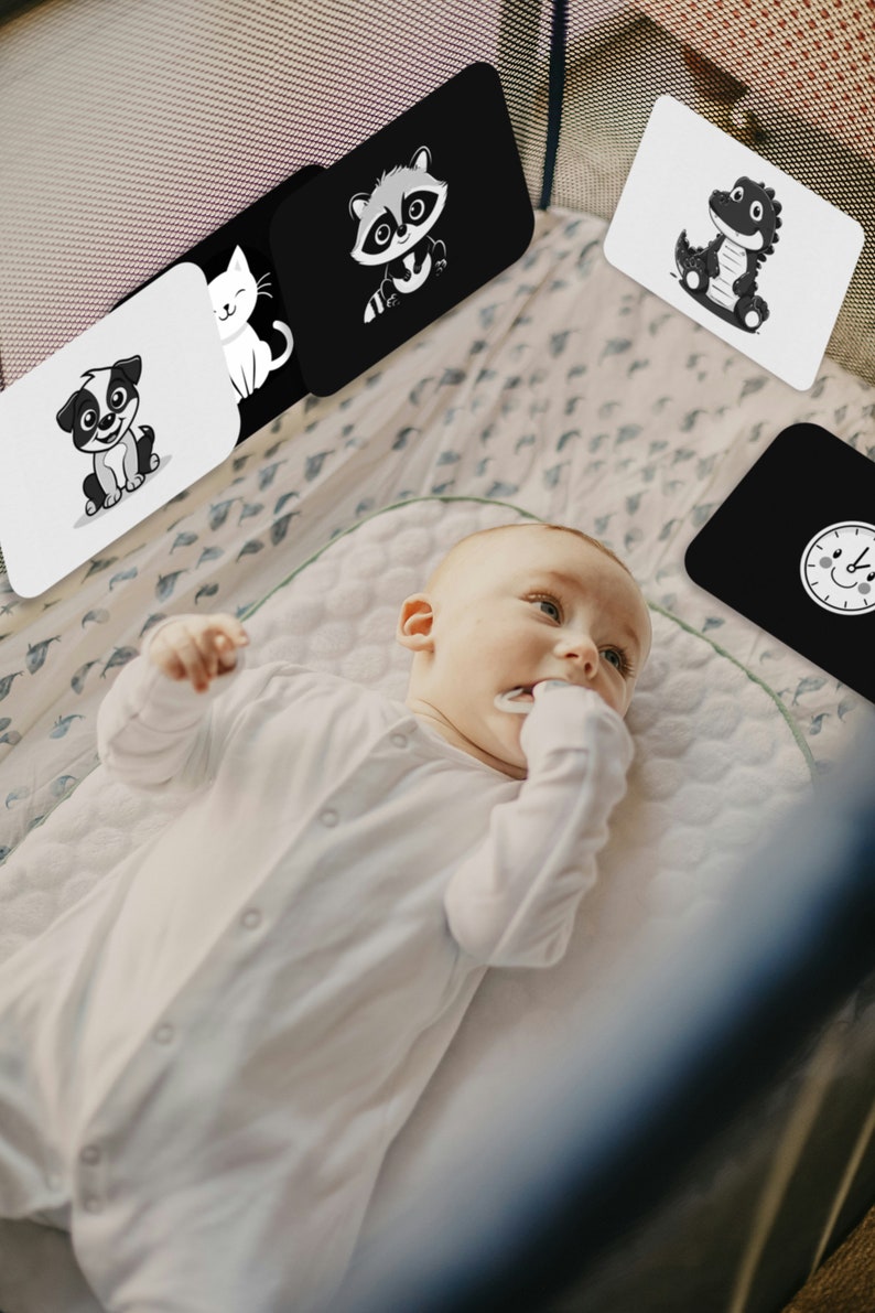 108 Printable Montessori Sensory High Contrast Baby Cards Bundle ...