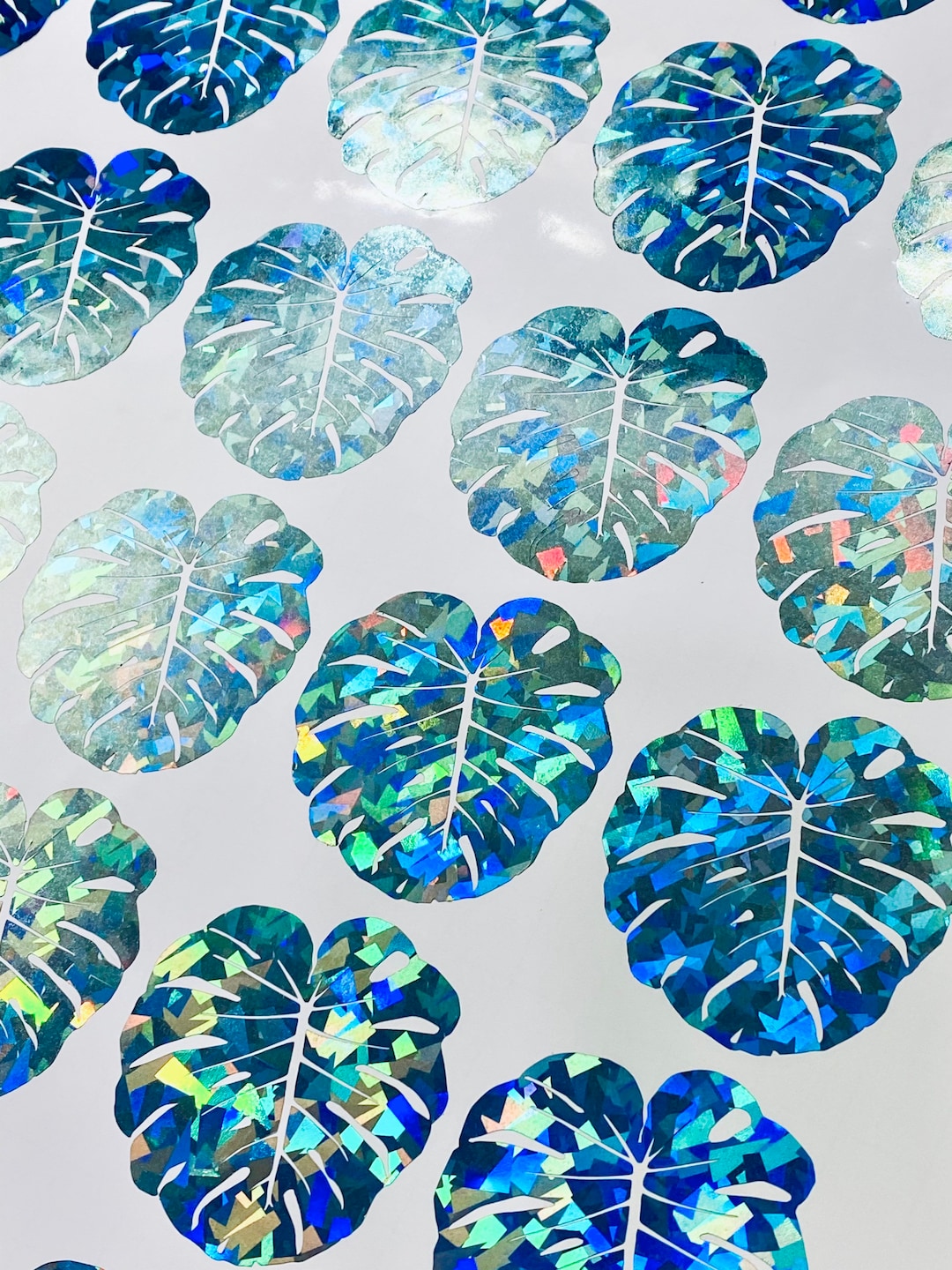 Custom Monstera Decal - Etsy