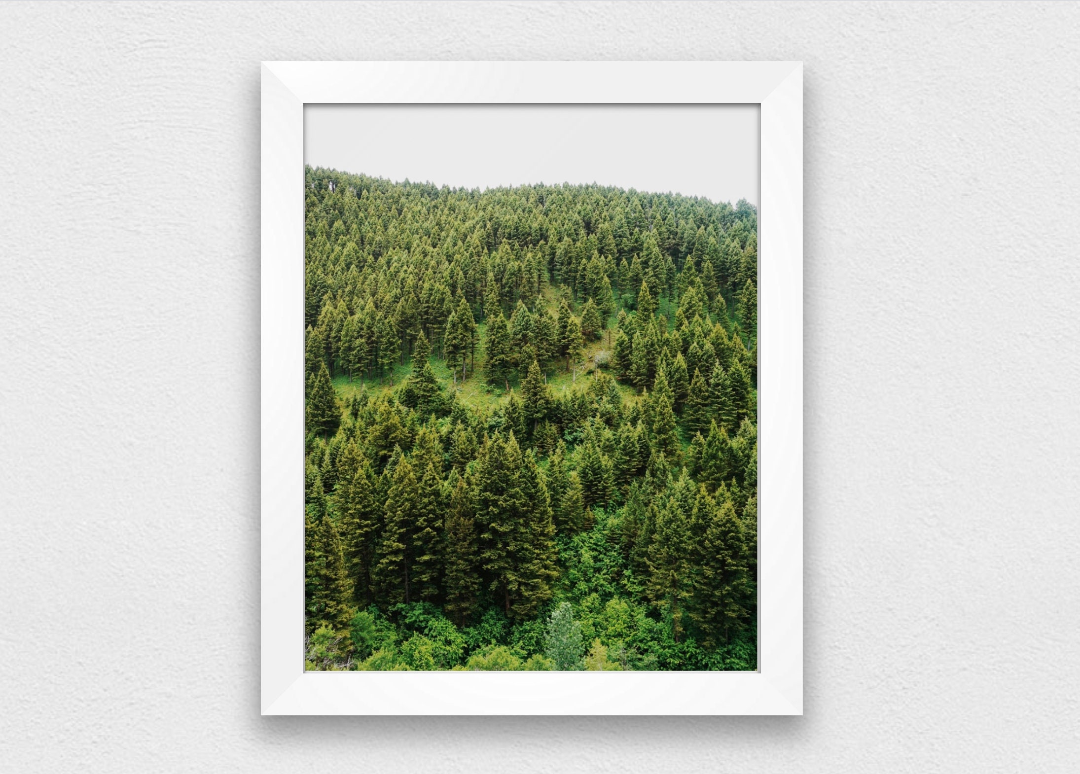 Pine Trees, Digital Print, Wall Art - Etsy