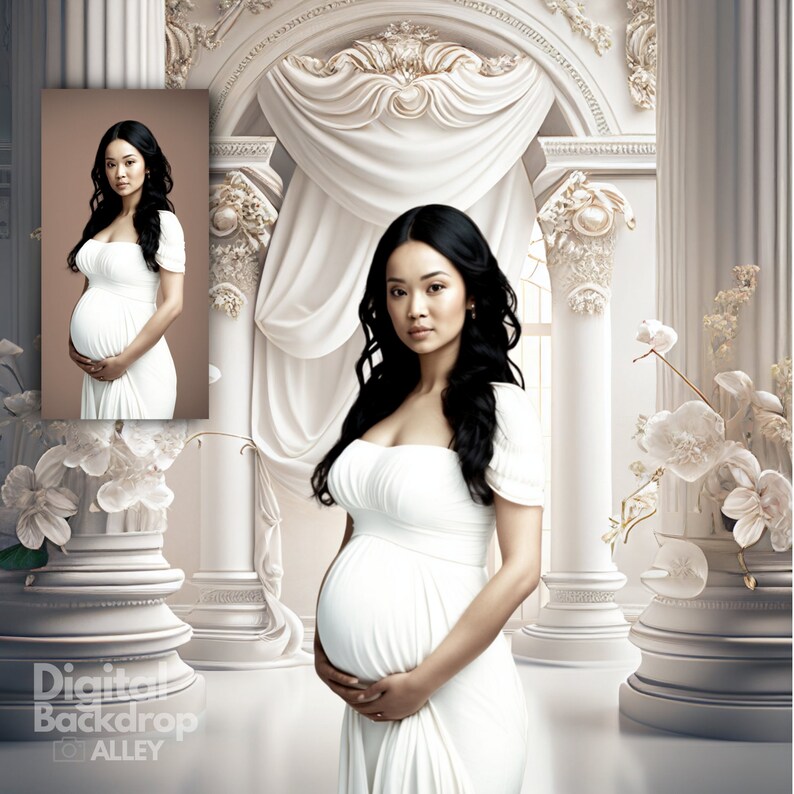 Maternity Digital Backgrounds, Pregnancy Digital Bacdrop, Fine Art ...