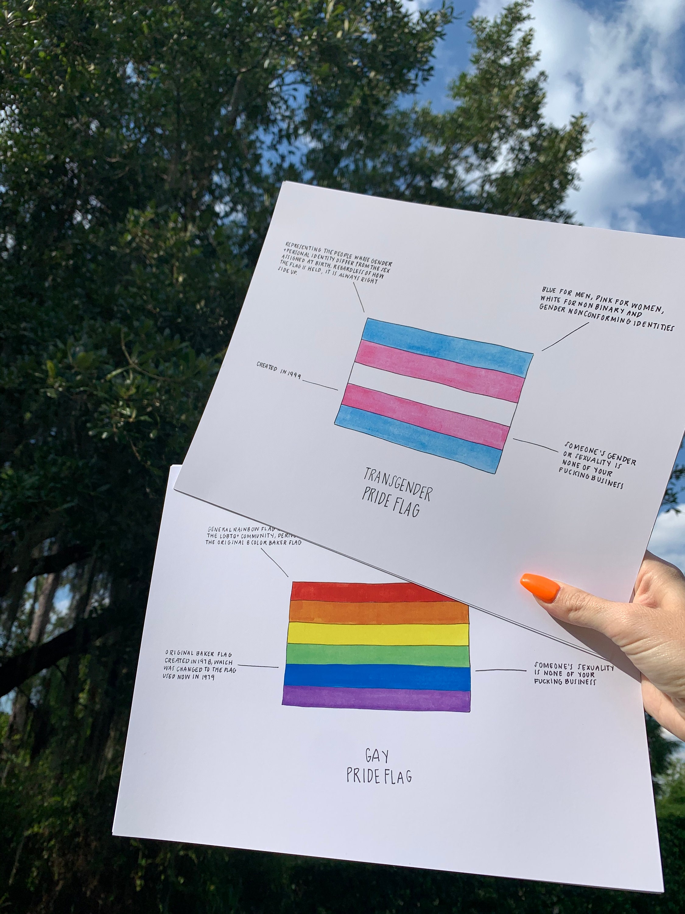 Pride Flag Diagrams Aromantic, Asexual, Bisexual, Lesbian, Non-binary ...