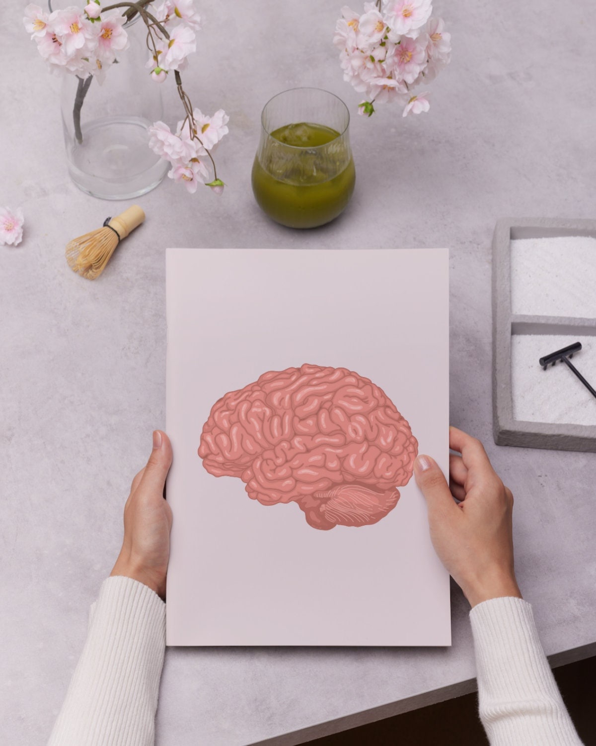 The Brain Anatomy Art Prints - Etsy