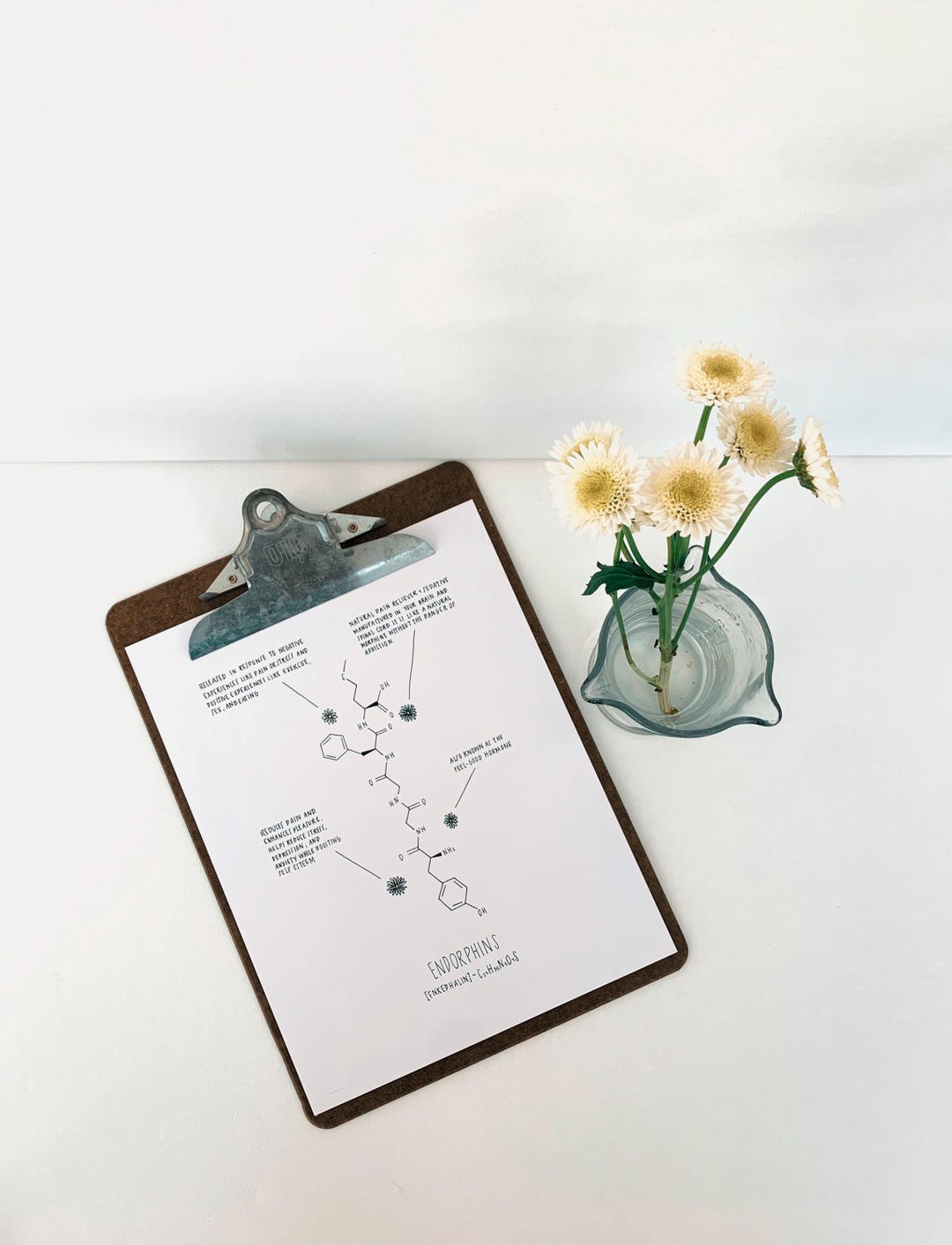 Endorphins Molecule Diagram Print | Watercolor Art Print | Educational ...