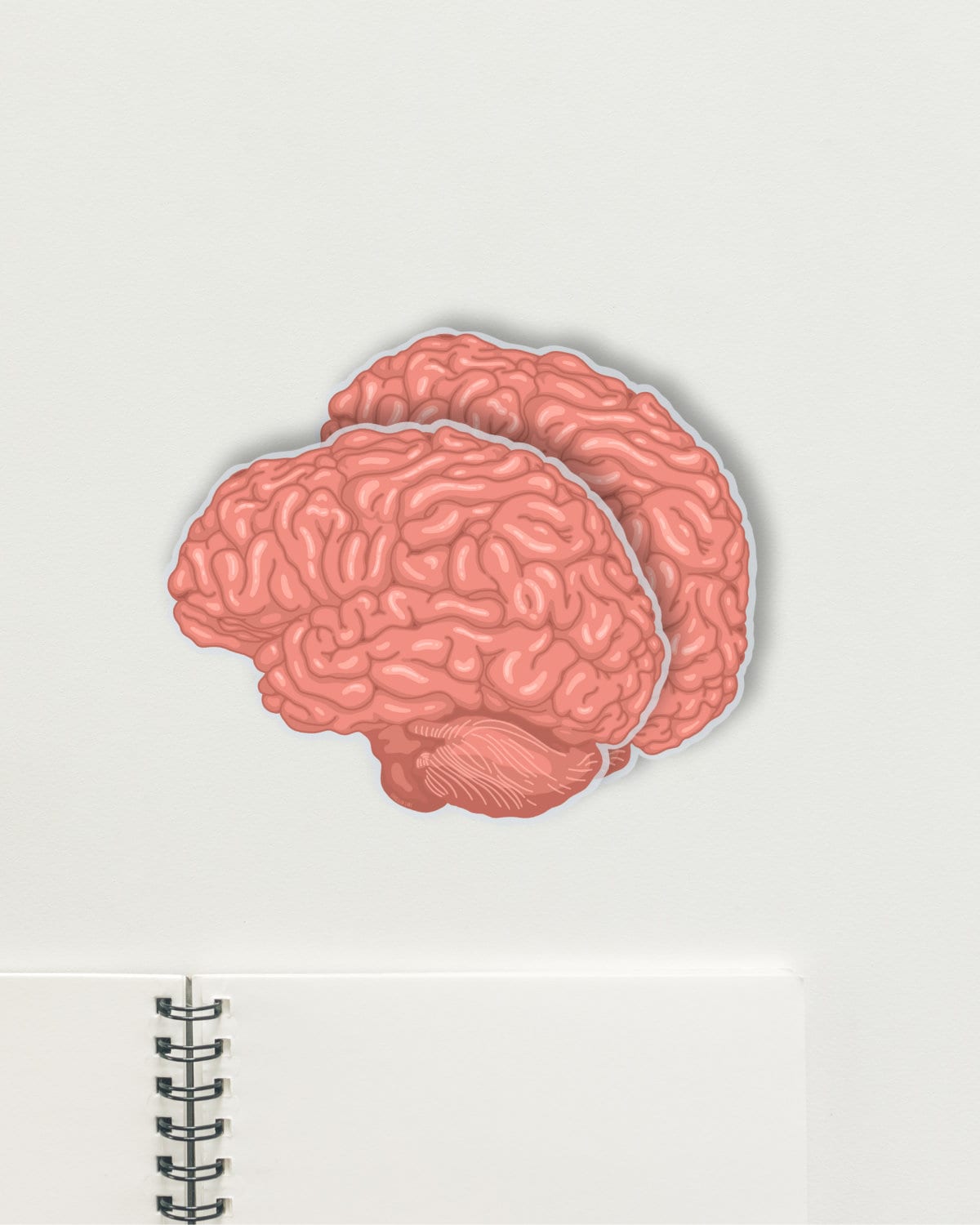 Anatomy Stickers Anatomical Stickers Human Anatomy Stickers Human Body ...