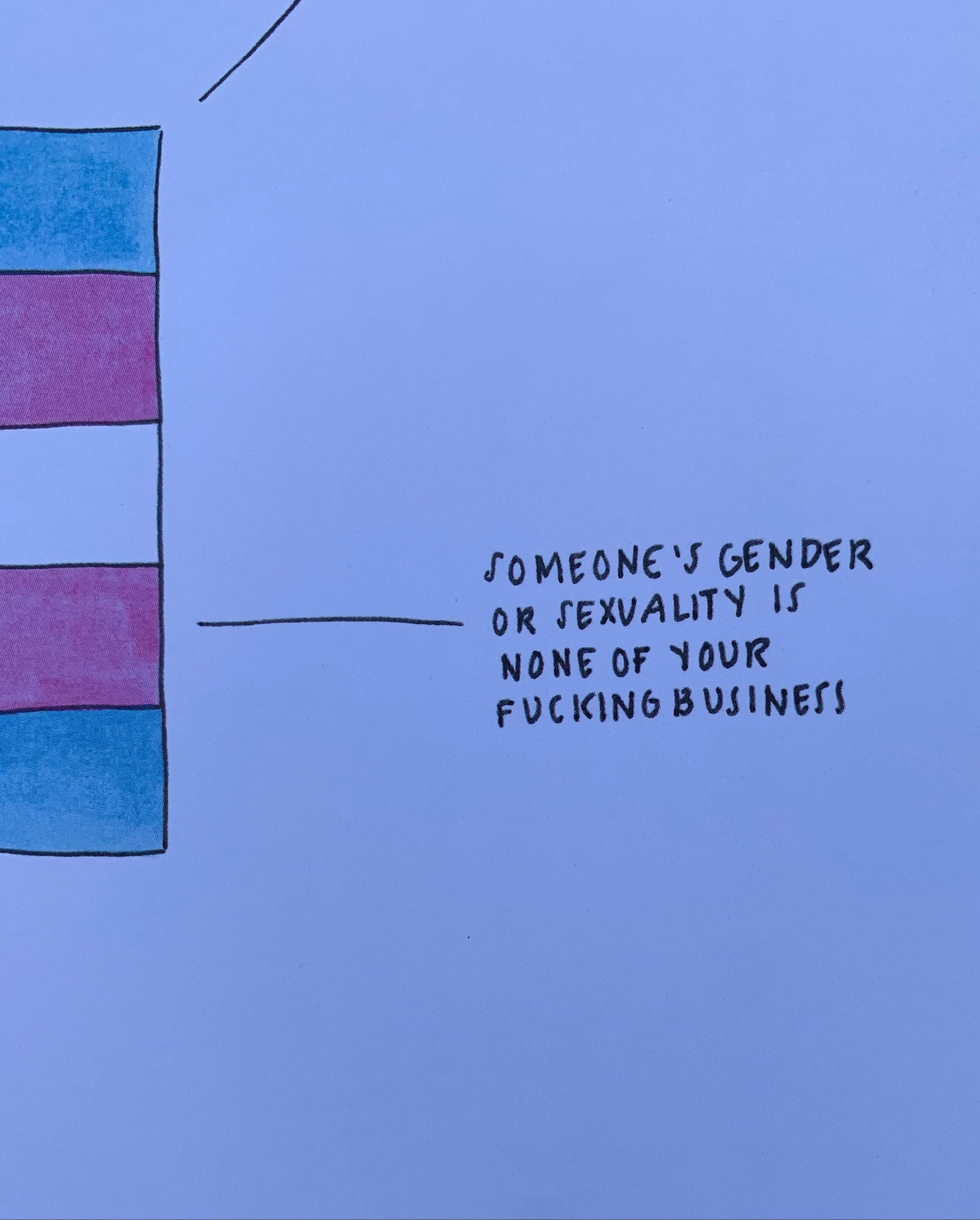 Transgender Pride Flag Diagram Diagrams of Random Things - Etsy Australia