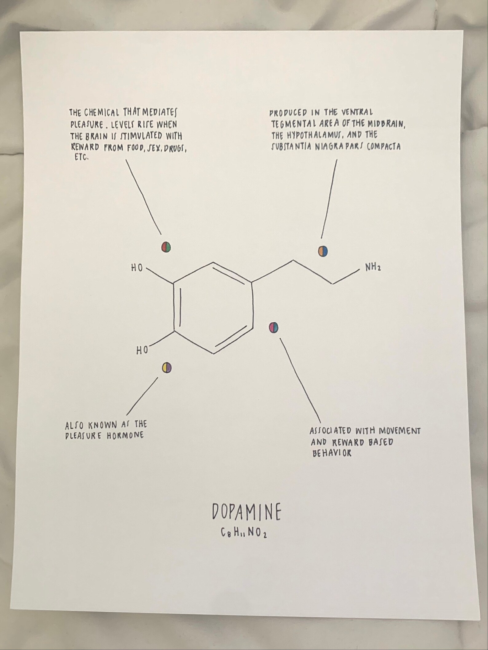 Dopamine Molecule Diagram Print Dopamine Molecule Art Print | Etsy