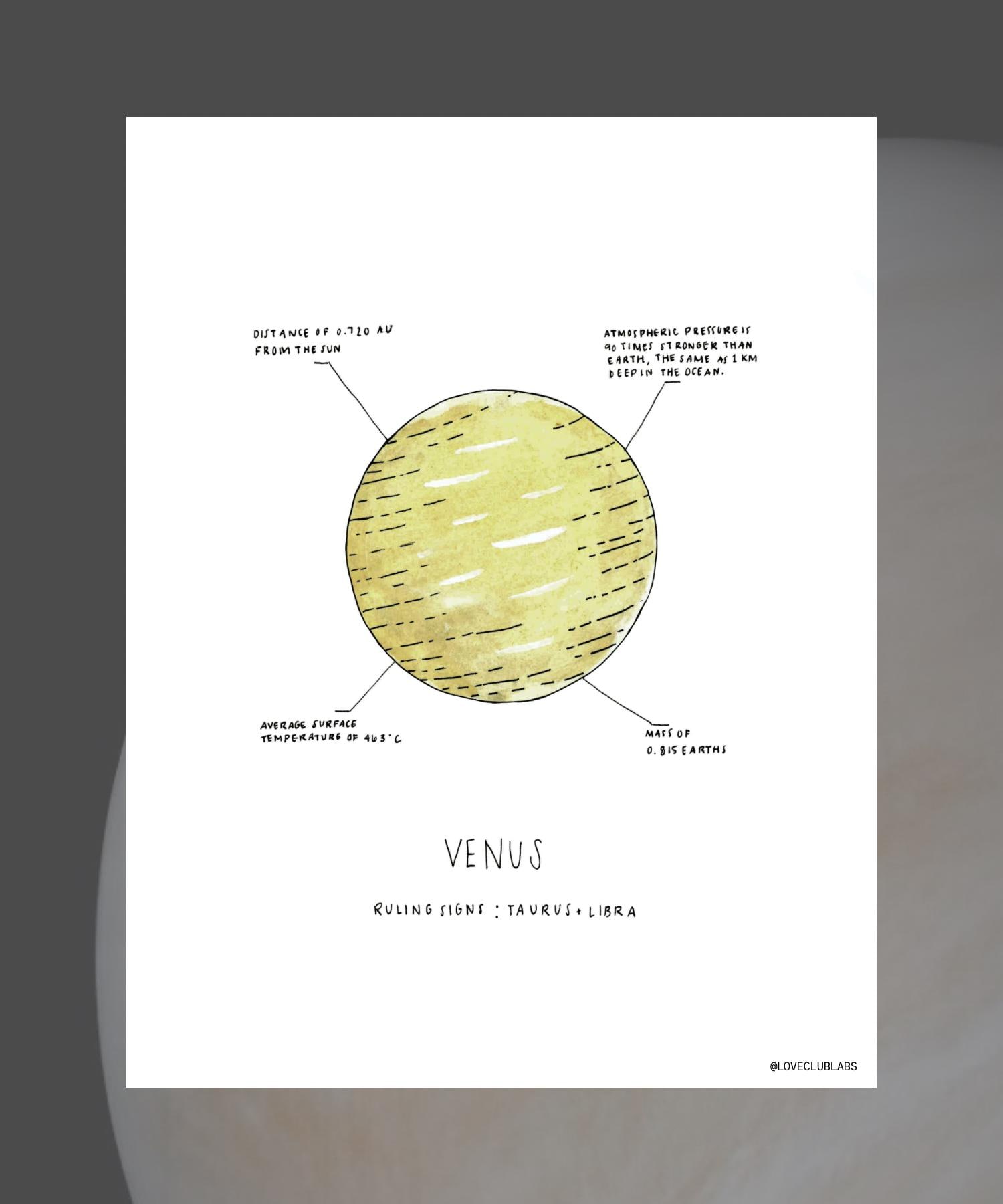 Venus Diagram Print | Watercolor Art Print | Educational Art About ...