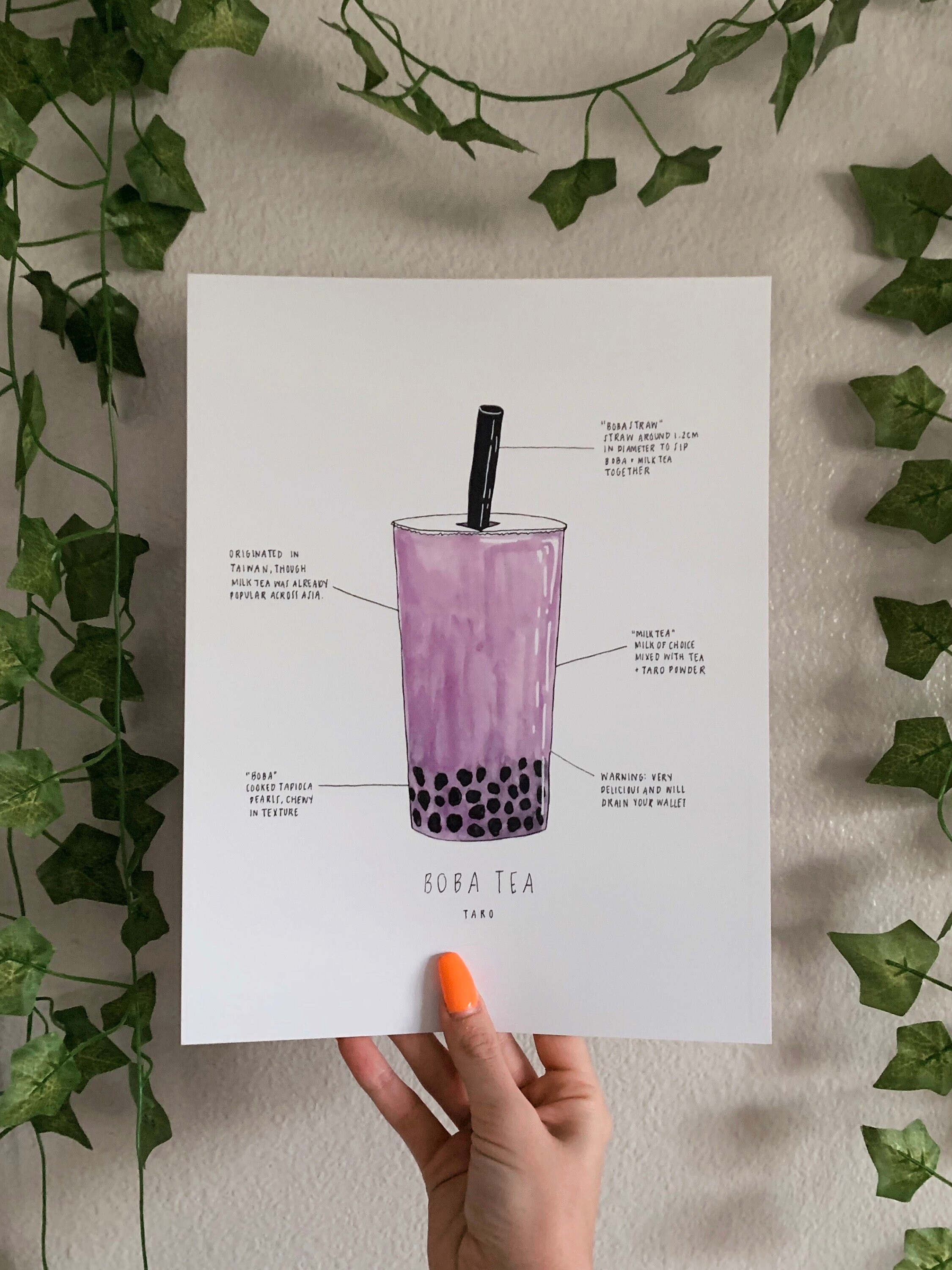 Bubble Milk Tea Diagrams Taro, Thai, and Classic Bubble Teas Boba Tea ...