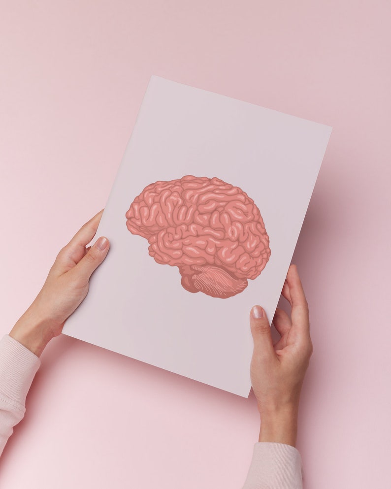 The Brain Anatomy Art Prints - Etsy