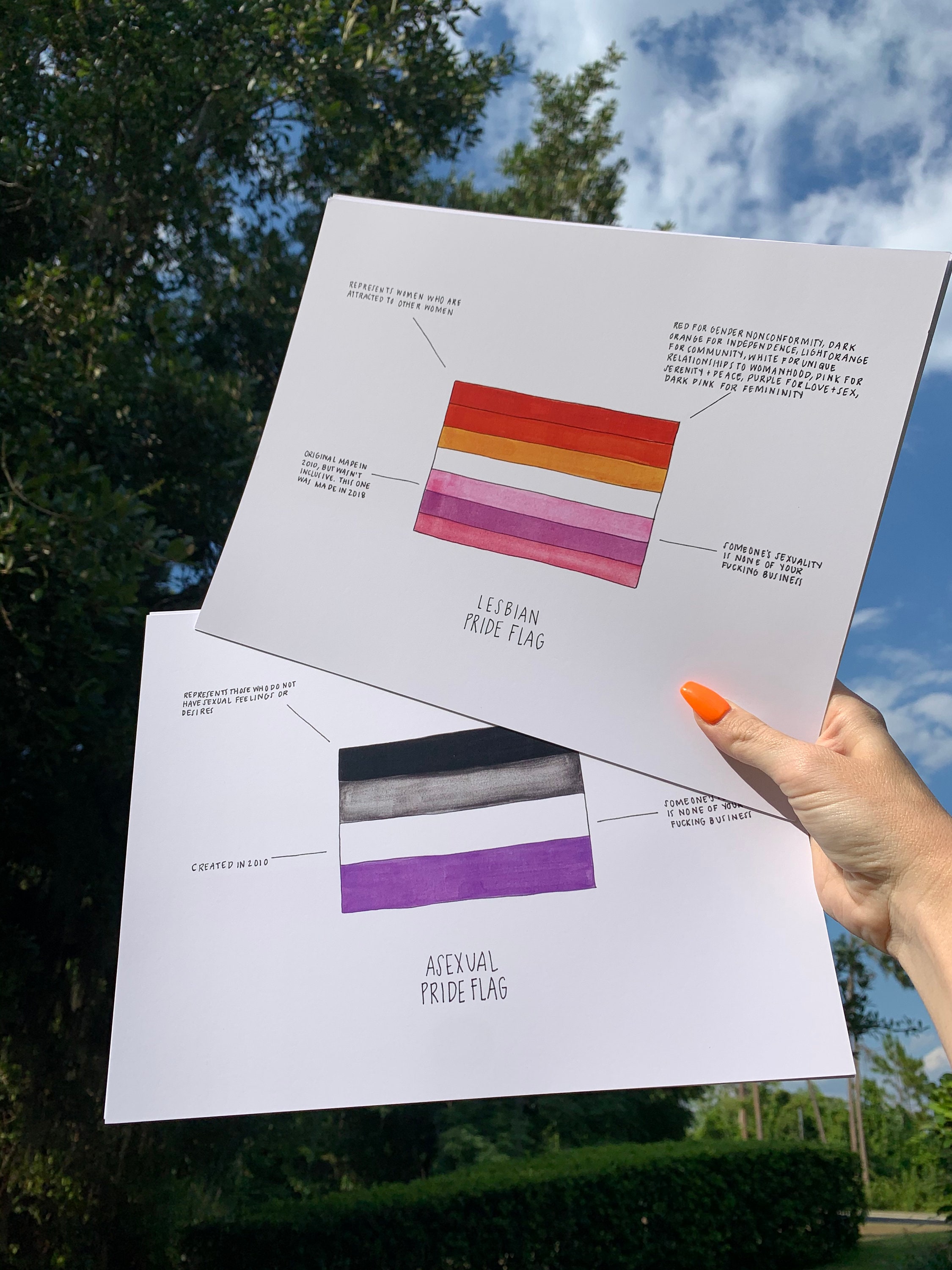 Pride Flag Diagrams Aromantic, Asexual, Bisexual, Lesbian, Non-binary ...