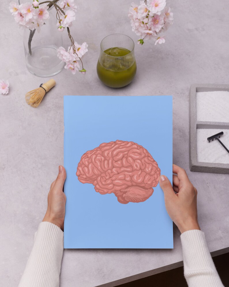 The Brain Anatomy Art Prints - Etsy