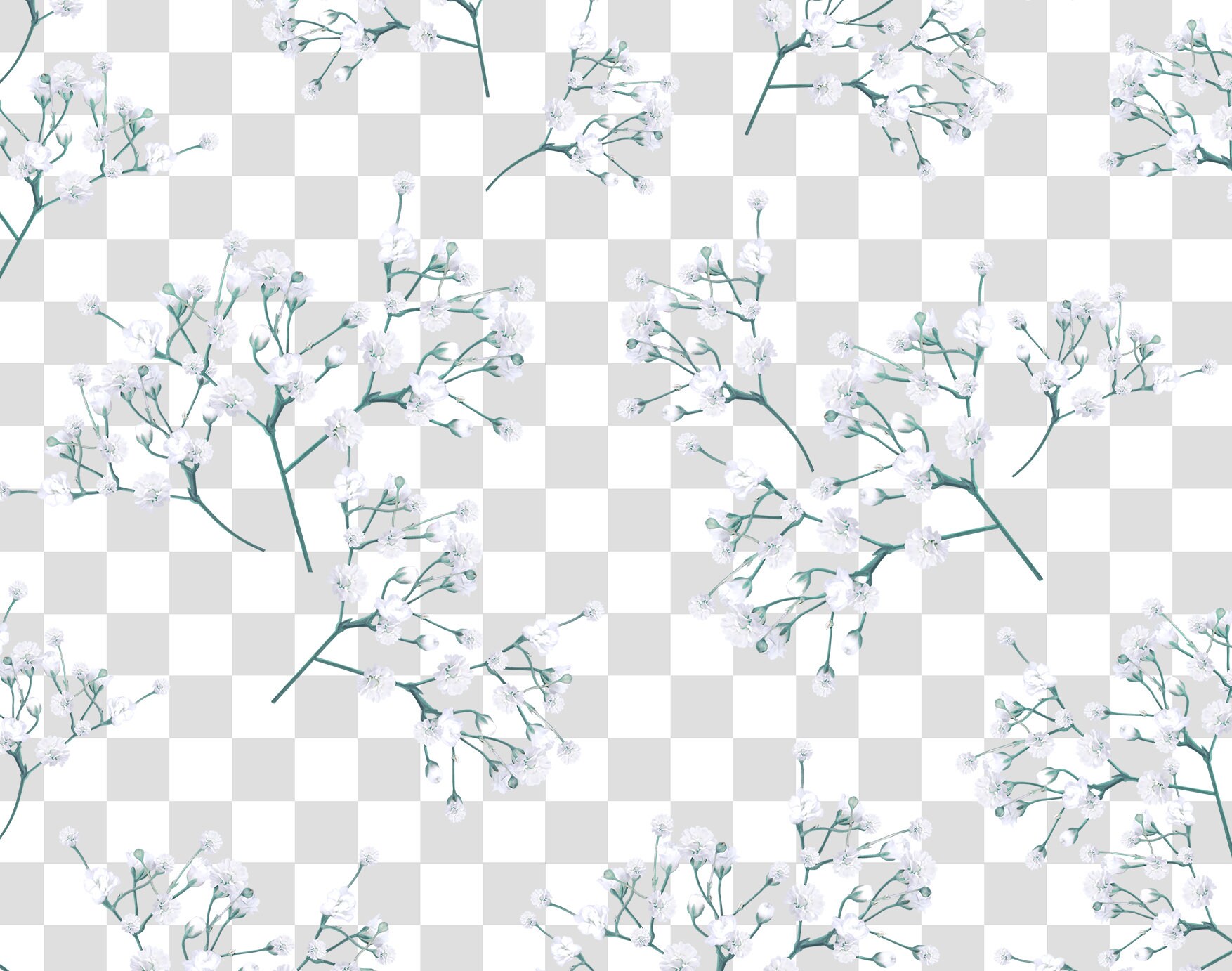 Transparent Seamless Pattern, Commercial License, Baby's Breath ...