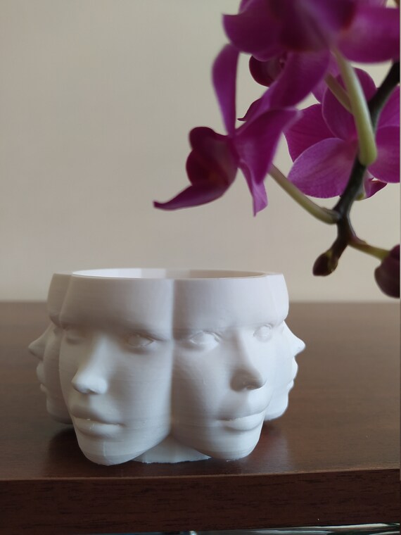 Polyface Planter 3D Print Cactus Pot Surreal Polyface - Etsy