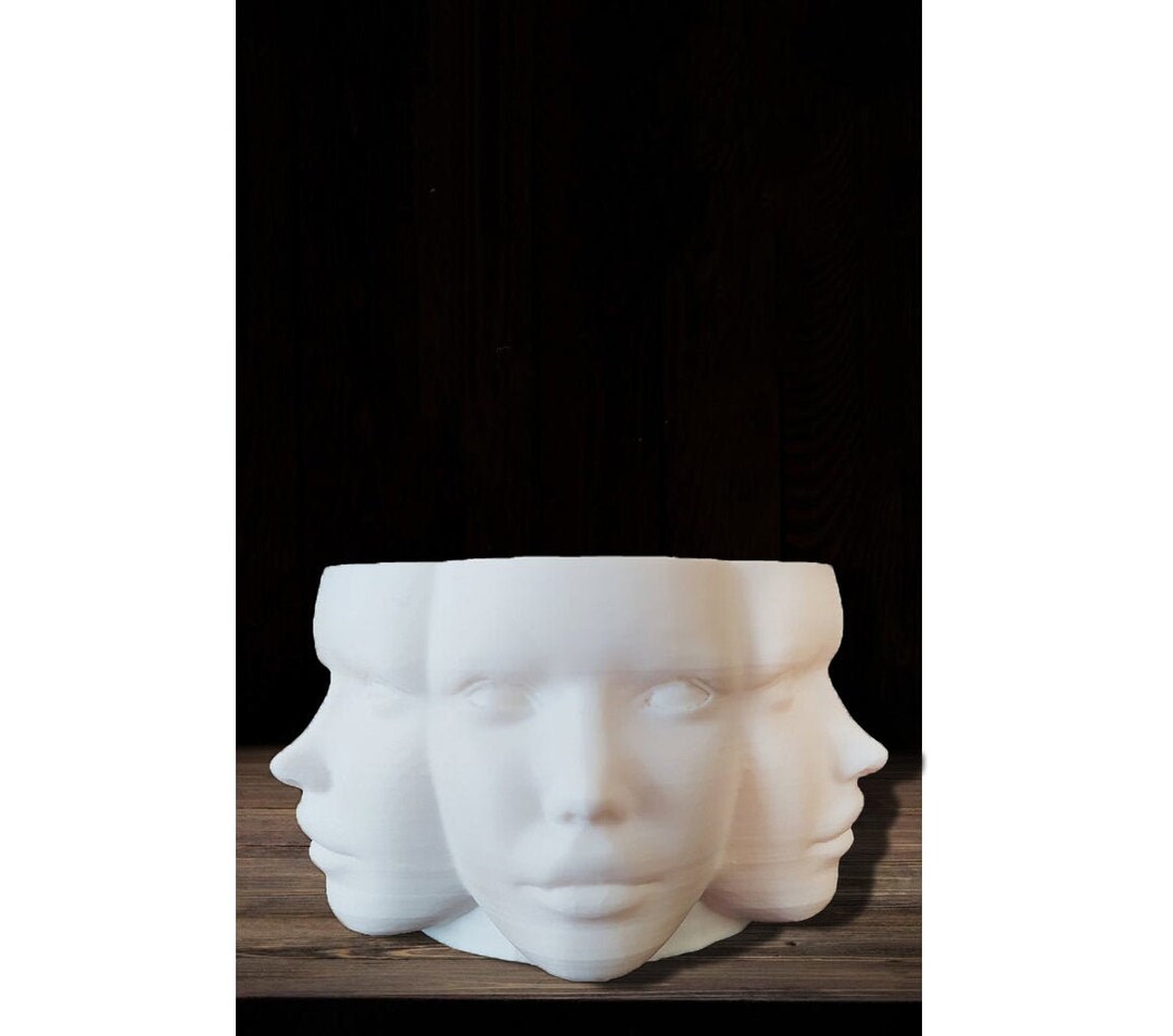 Polyface Planter 3D Print Cactus Pot Surreal Polyface Planter Multiface ...