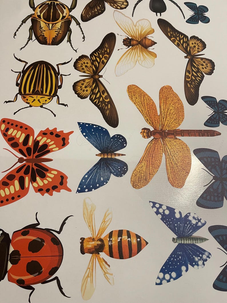 Bug Wall Decals - Insect Wall Art, Nursery Decor, Kids Room Decal ...