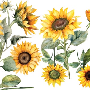 SUNFLOWERS Wall Art Decals Sticker, Midsommar Wall Flowers Bouquet ...