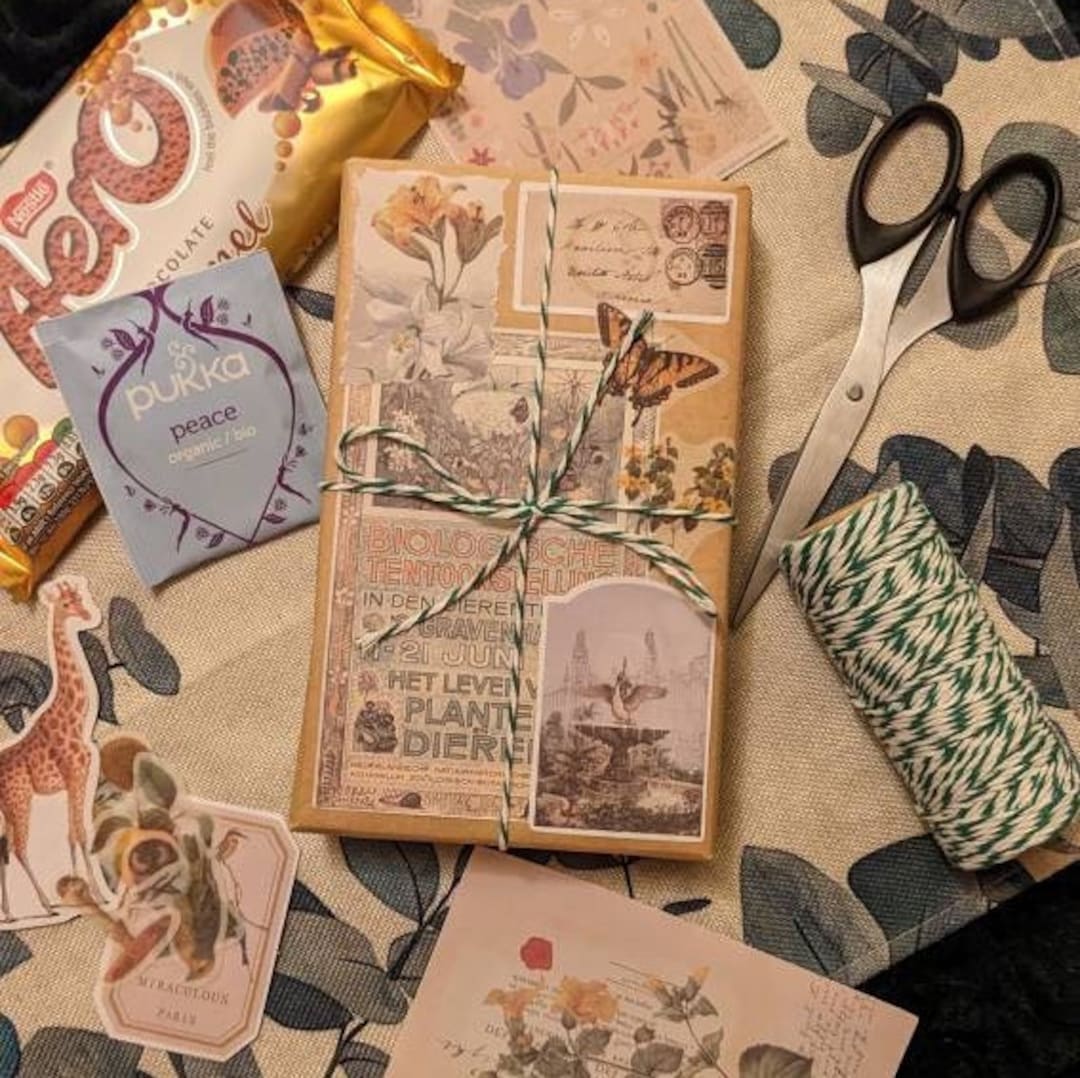 Blind Date With a Book, Surprise Book, Mystery Book, Booktok, Gift for ...