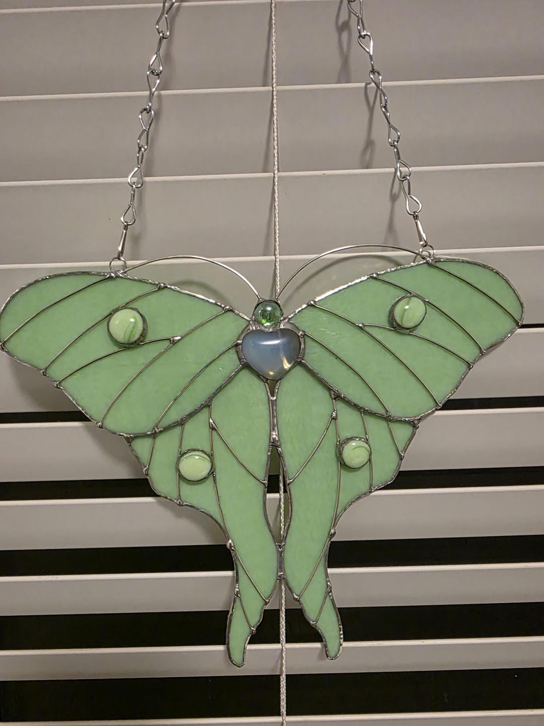 Luna Moth, Seen as a Guide for Self-discovery and Spiritual Growth - Etsy