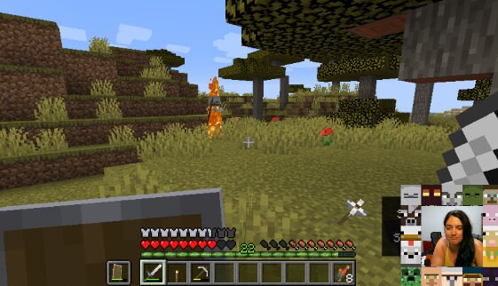 Minecraft Stream Camera Border Overlay | Etsy