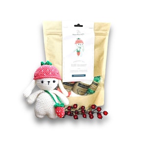 Rabbit Crochet Kit - DIY Crochet Kit - Animal Crochet Kit - Rabbit DIY ...