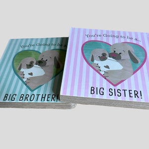 Gift From New Baby to Big Sister or Big Brother / New Baby Big Sister ...