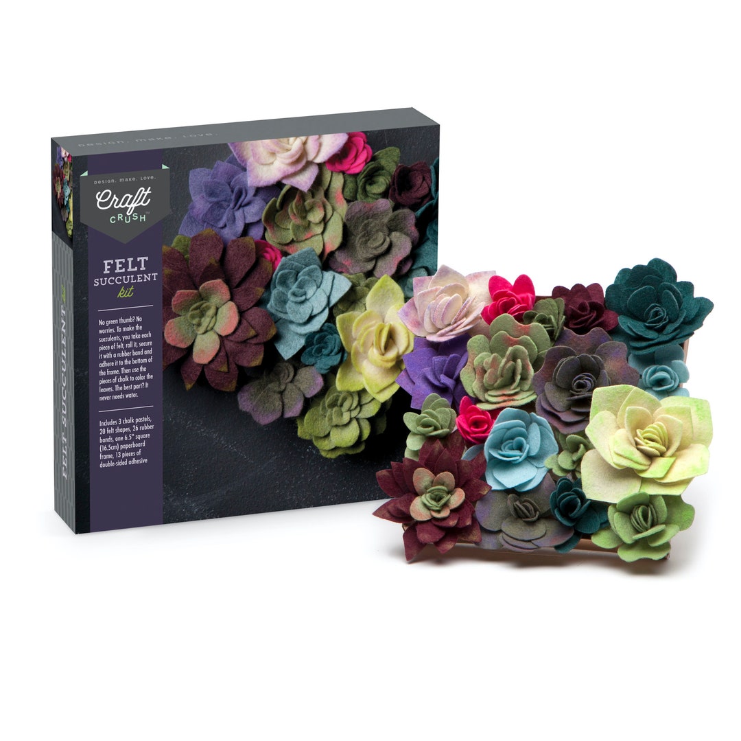 Felt Succulent Craft Kit - Kids Felt Craft - DIY Kids Flower Craft ...