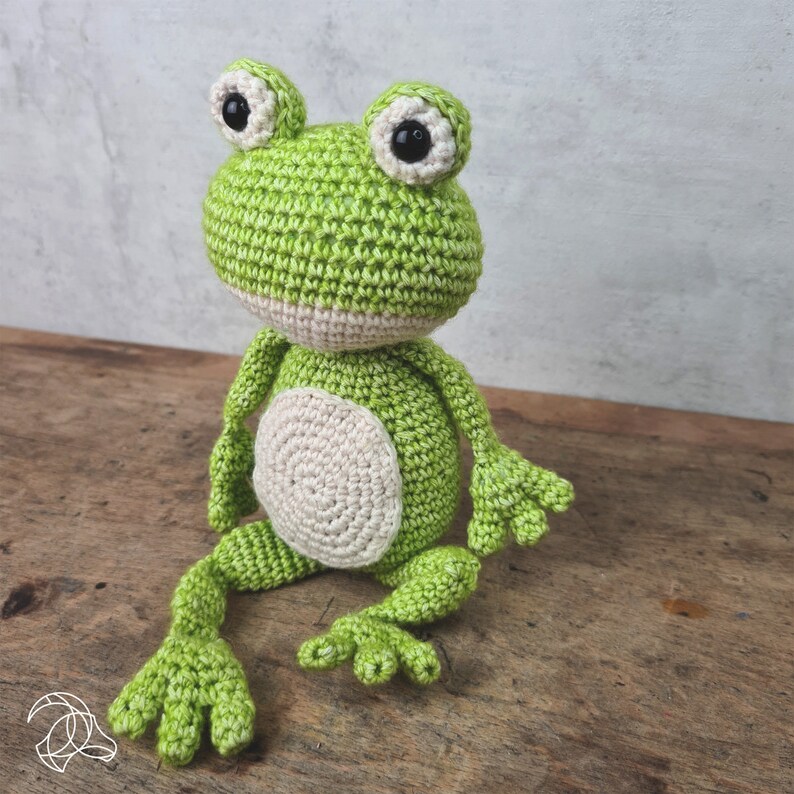 Frog Crochet Kit - Amigurumi Frog Gift - DIY Crochet Kit - Gift for ...