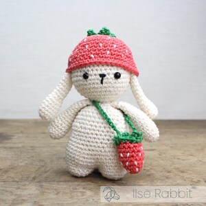 Rabbit Crochet Kit - DIY Crochet Kit - Animal Crochet Kit - Rabbit DIY ...