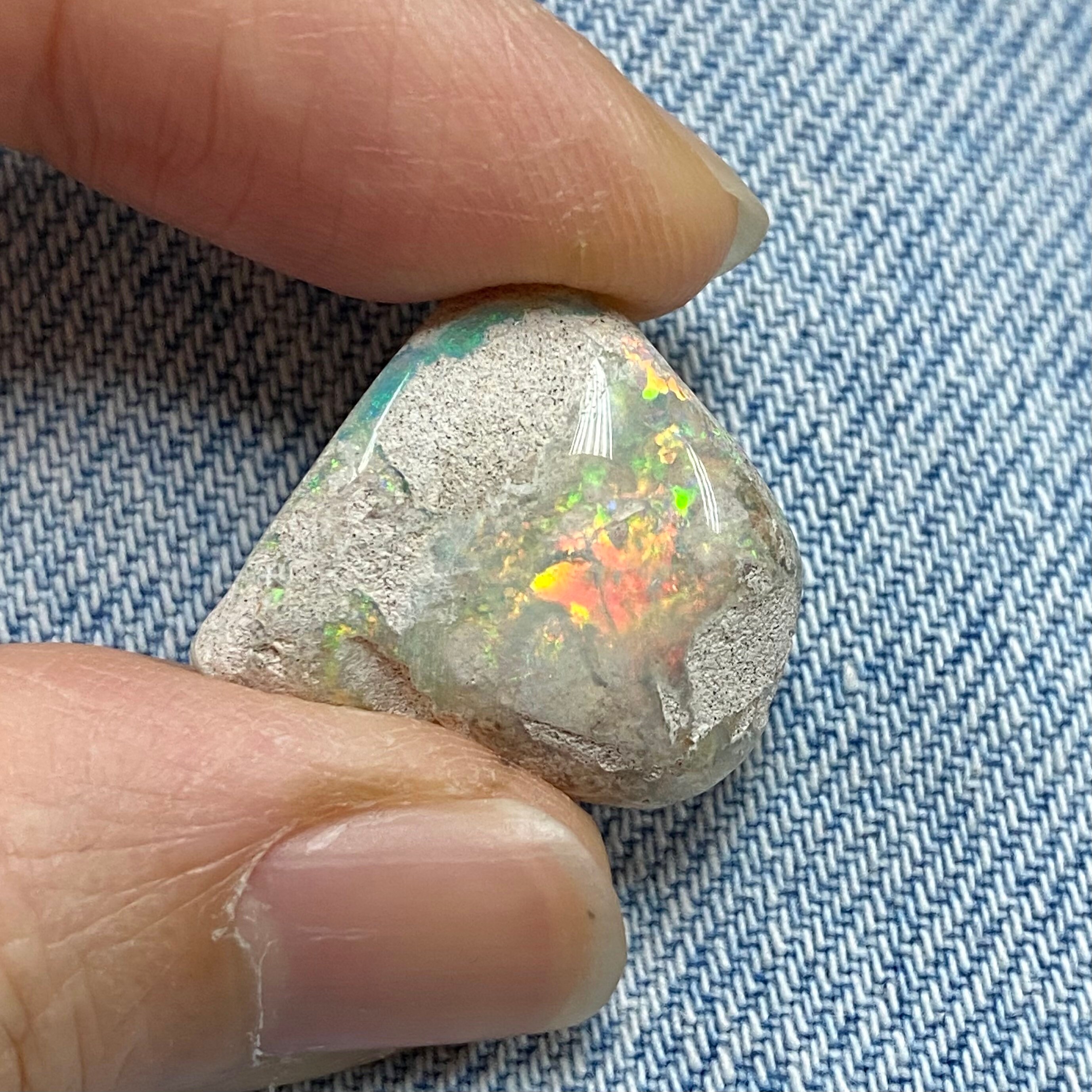 Opalised Fossil Shells for Selection, Australian Opal Gem Shells ...