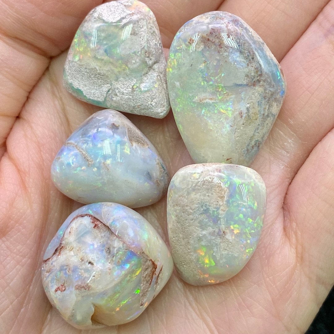 Opalised Fossil Shells for Selection, Australian Opal Gem Shells ...
