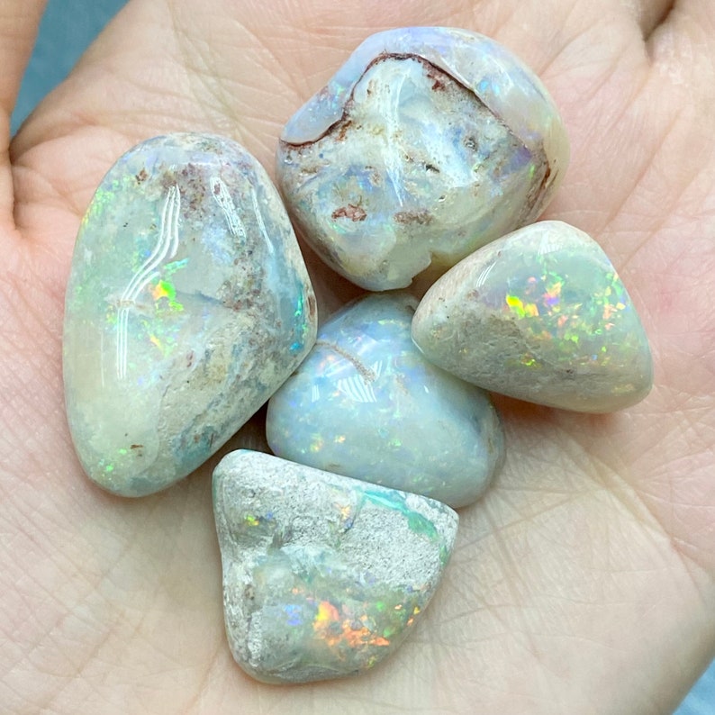Opalised Fossil Shells for Selection, Australian Opal Gem Shells ...