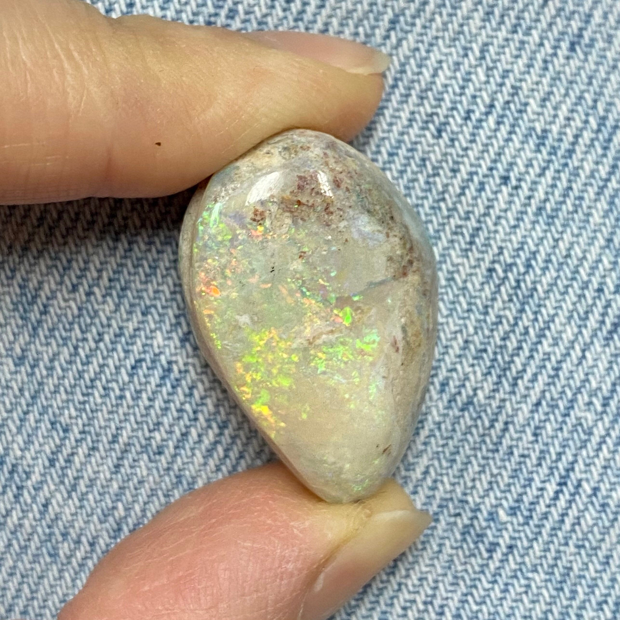 Opalised Fossil Shells for Selection, Australian Opal Gem Shells ...